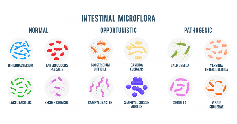 Gut health and how to treat IBS (irritable bowel syndrome)