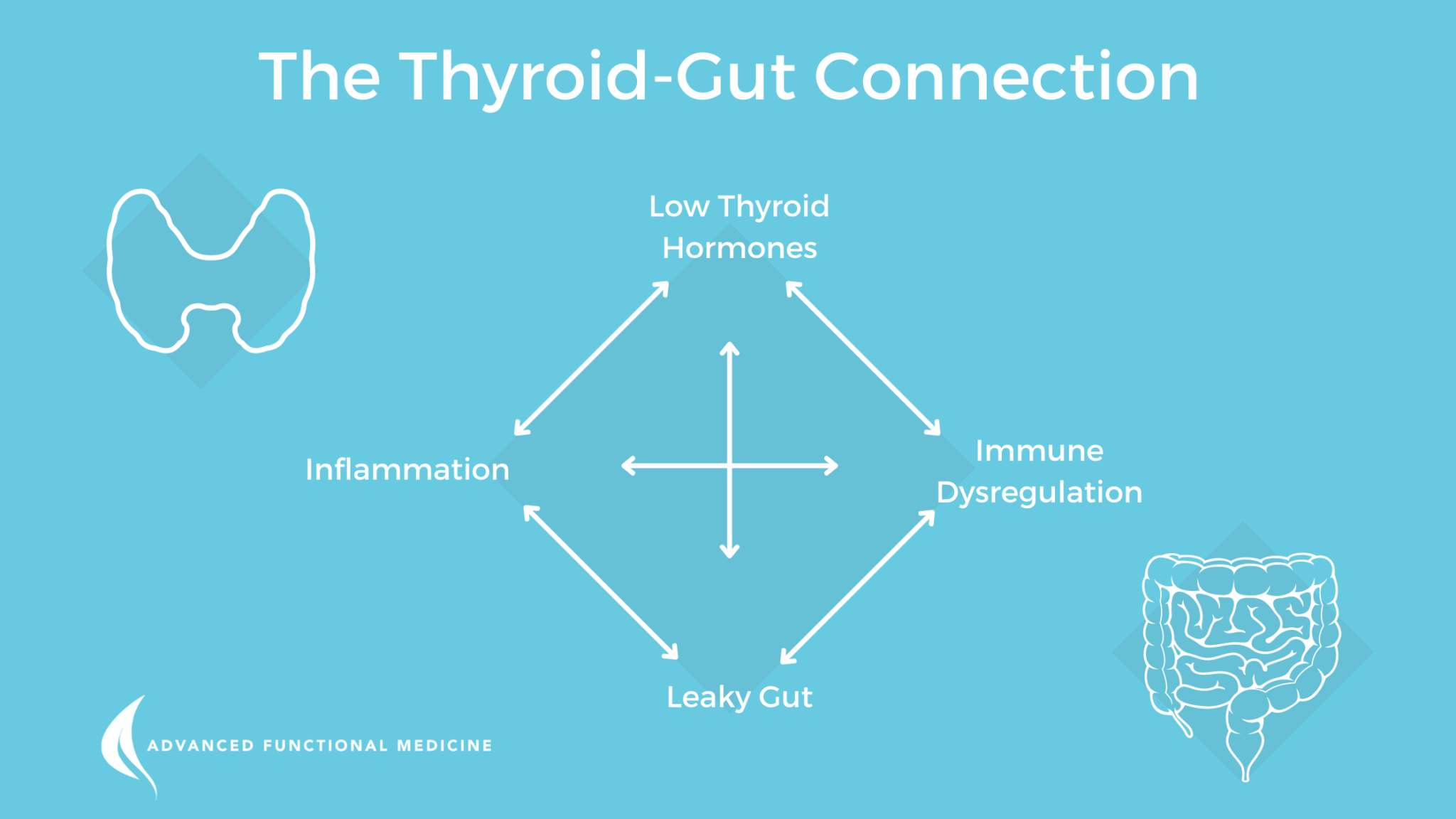 The Gut - Thyroid Connection - Functional Medicine